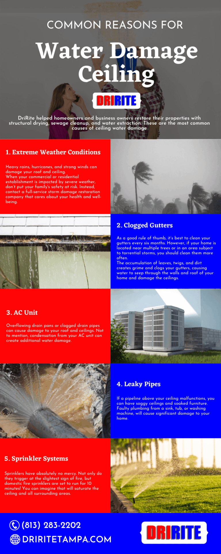 Water Damage Ceiling: Everything You Need to Know - Expert Water Removal