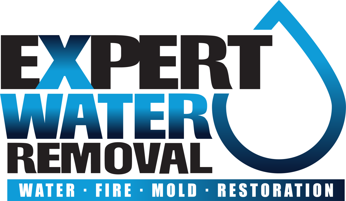 Water Damage Restoration In Tampa | Water Damage Near Me in Tampa