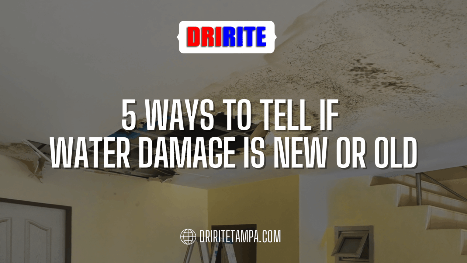 5 Ways To Tell If Water Damage Is New Or Old - Expert Water Removal